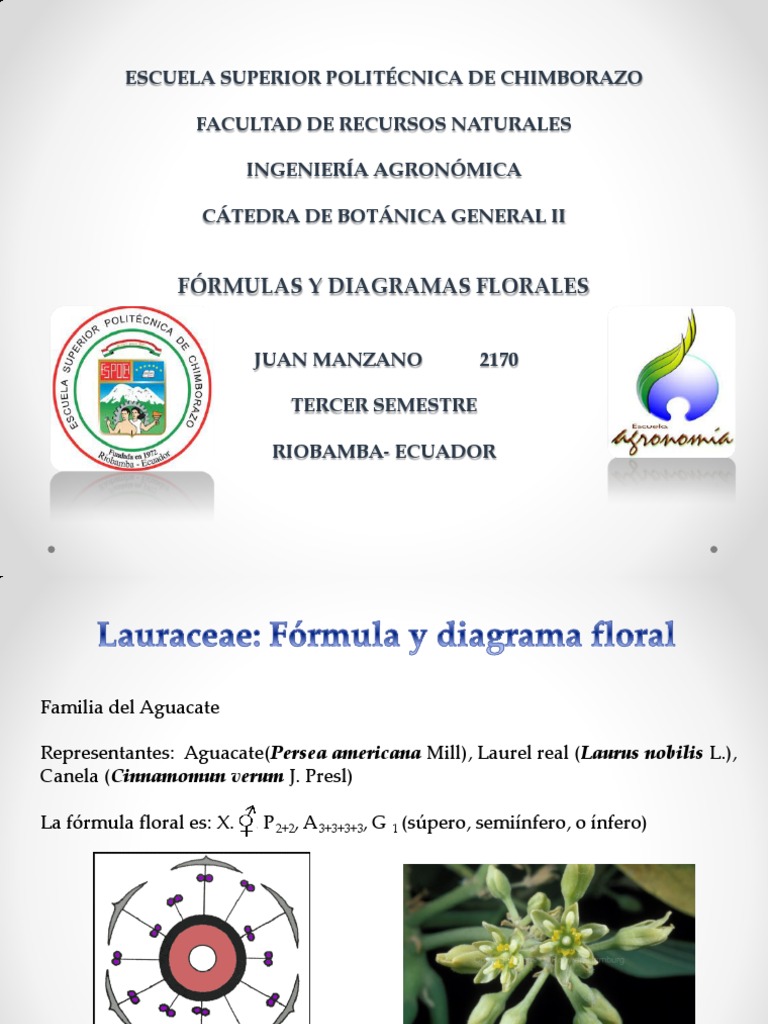 Fórmulas y Diagramas Florales | PDF