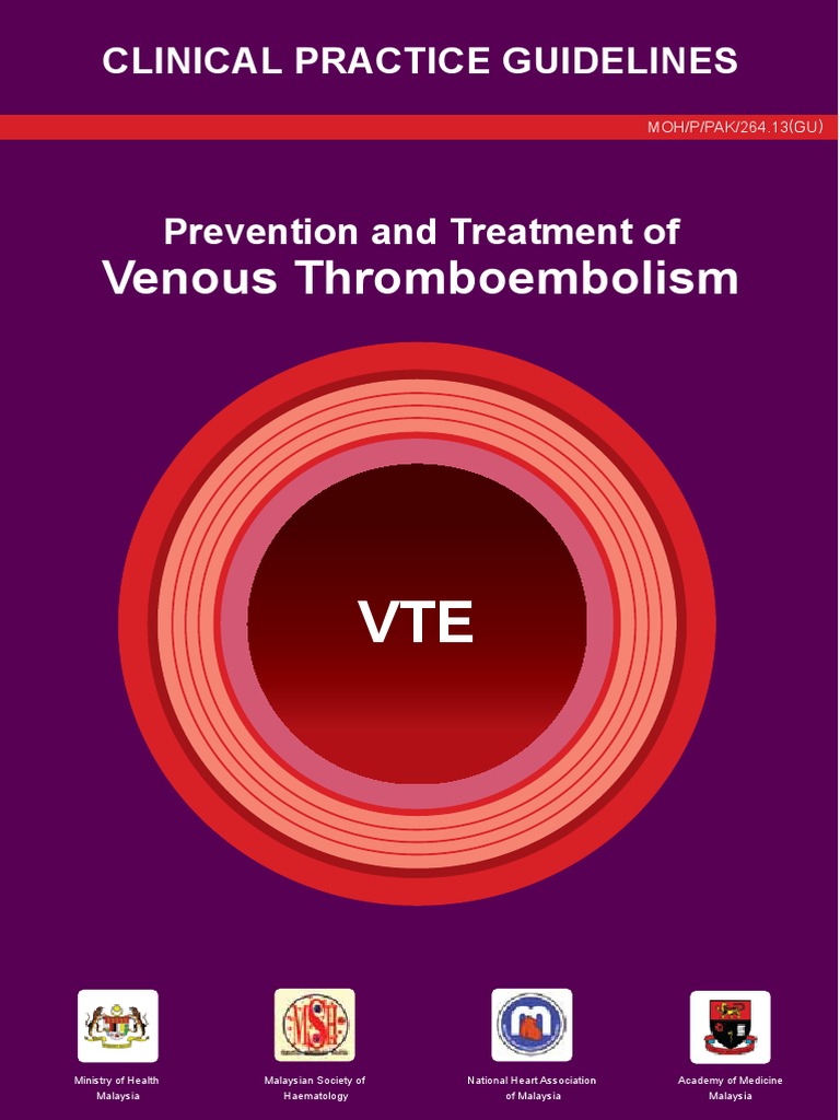 CPG 2013 - Prevention and Treatment of Venous Thromboembolism | PDF ...