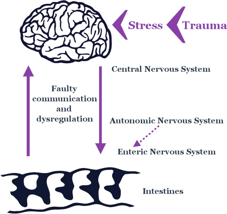 Stress Trauma Brain Gut Connection | PDF | Self-Improvement