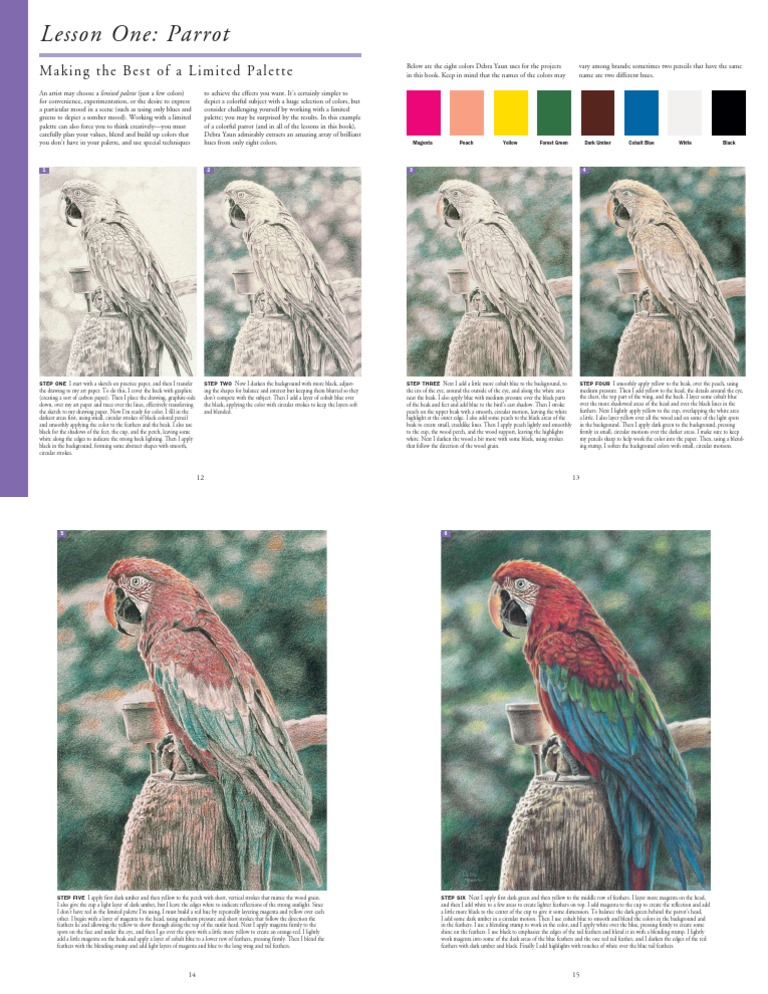 Lessons Coloured Pencils - Parrot | PDF | Magenta | Color