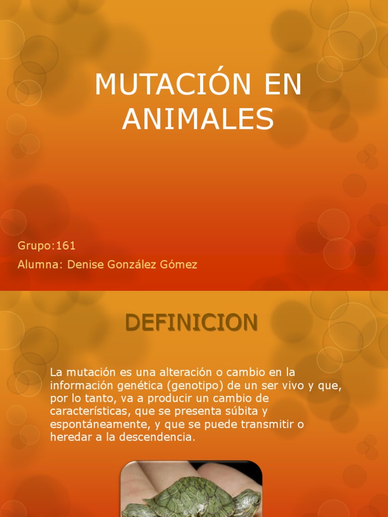 Mutaciones en Animales: Tipos y Efectos | PDF | Mutación | Biología ...