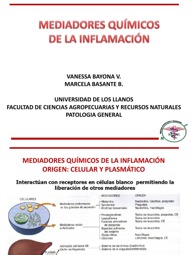 Exposicion de Patologia Mediadores Inflamacion | PDF | Inflamación ...