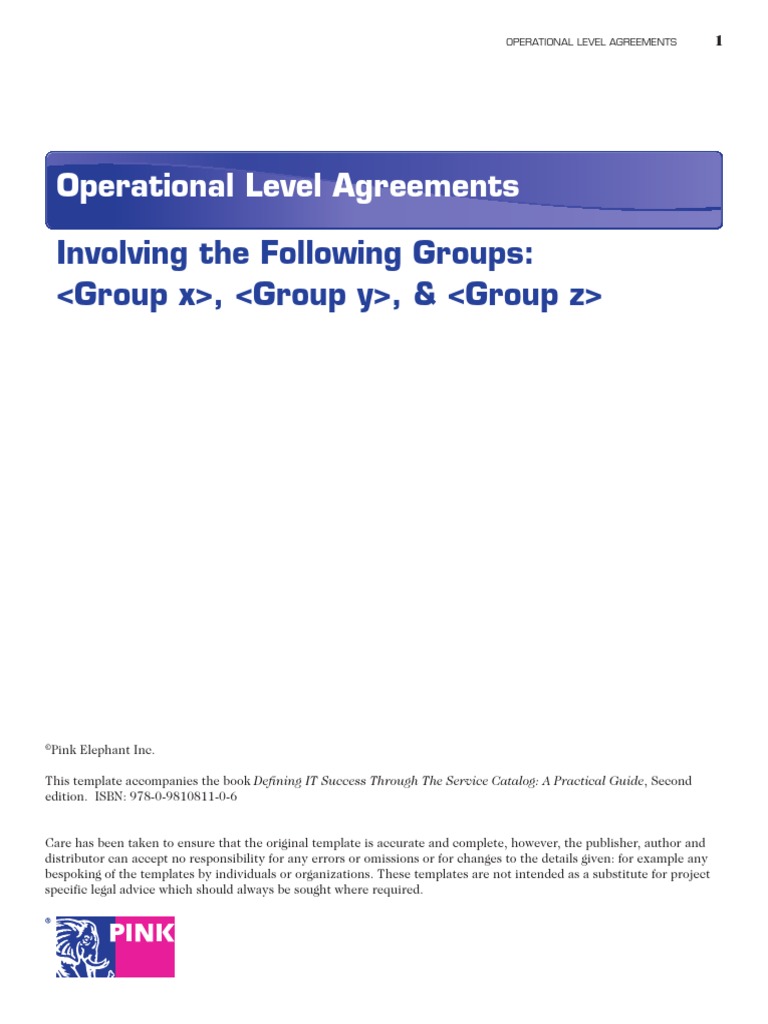 OLA Template | PDF | Matrix (Mathematics) | Information Technology Management