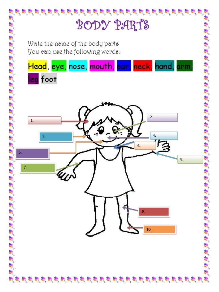 Body Parts: Head, Eye, Nose, Mouth, Ear, Neck, Hand, Arm, Leg Foot | PDF