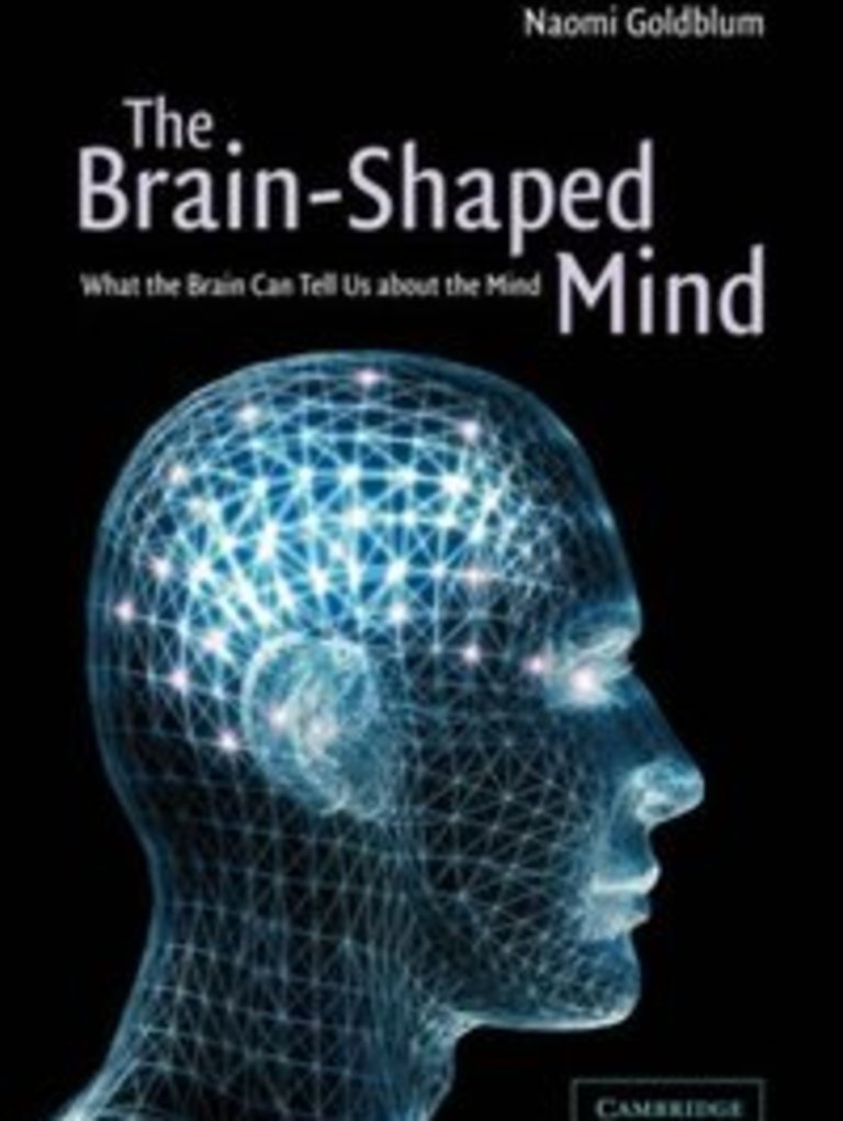 The Brain-Shaped Mind - What The Brain Can Tell Us About The Mind | PDF | Mind | Thought