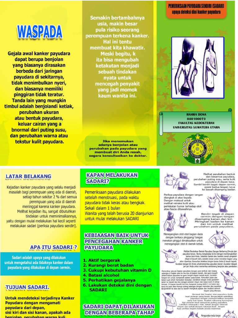 Leaflet Sadari | PDF