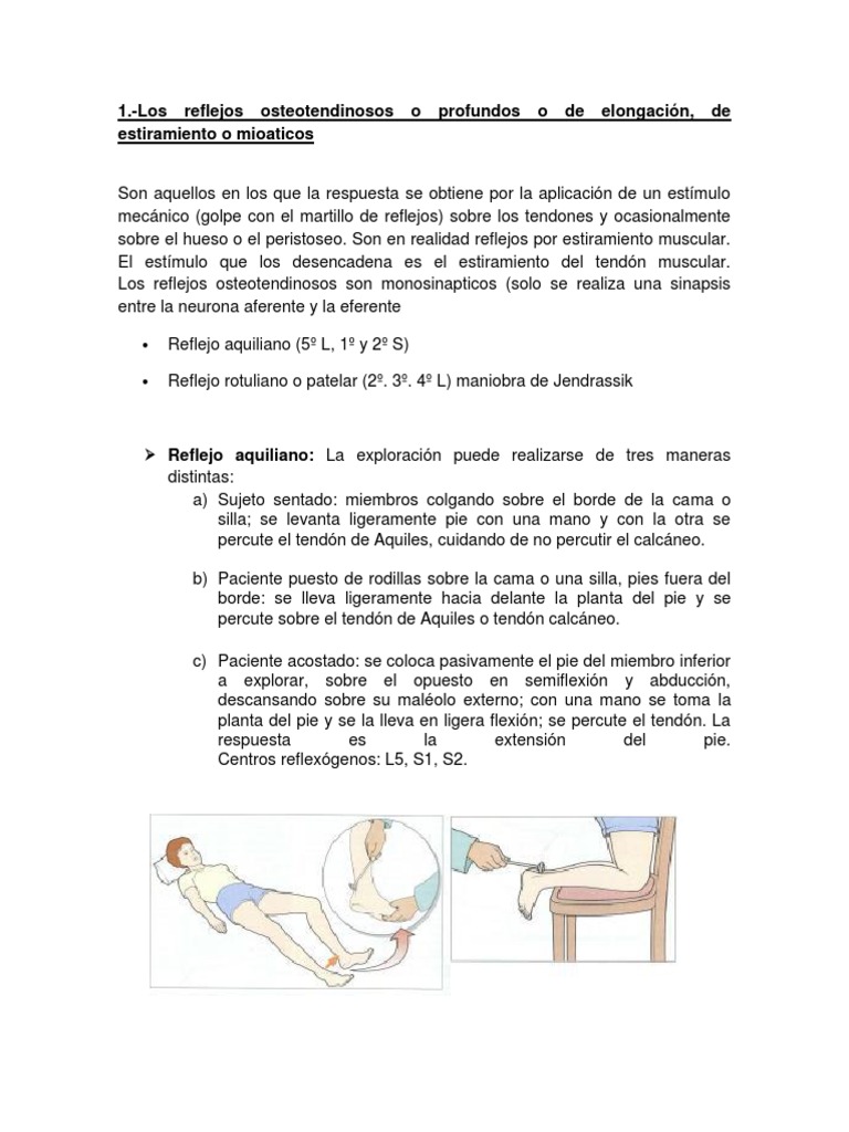 Reflejos 2 | PDF | Pie | Abdomen
