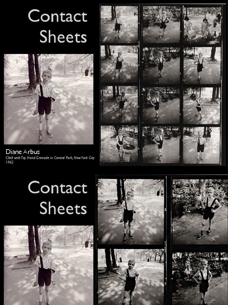 Analyzing Contact Sheets | PDF
