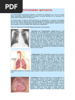 Cápsula de Glisson | PDF | Tejido adiposo | Riñón