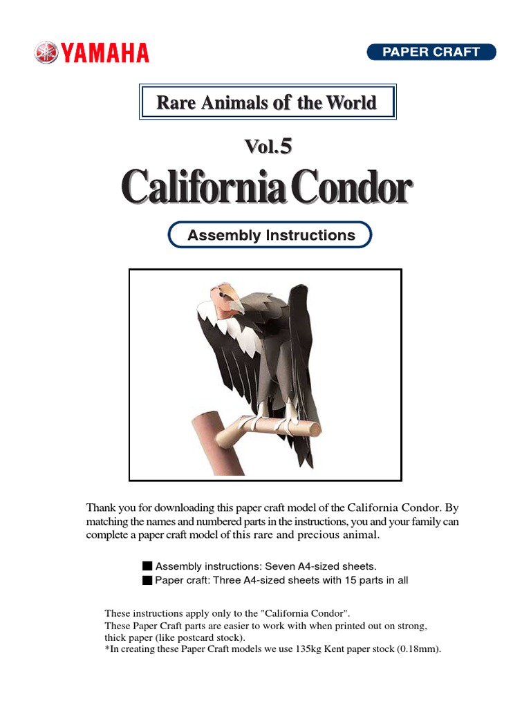 Paper Craft California Condor Assembly Instructions | PDF | Birds | Nature
