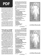 Coronilla de la divina misericordia | PDF