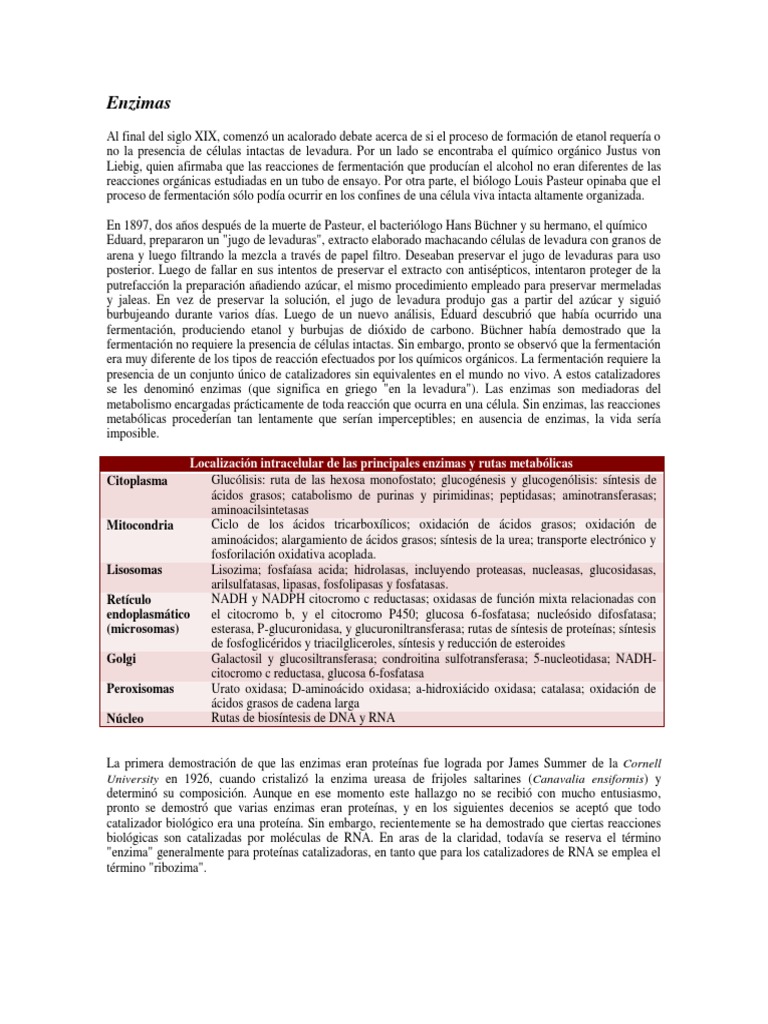 Enzimas - Gerald Karp | PDF | Enzima | Inhibidor de la enzima