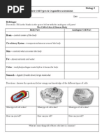 Grade 8-Cell Structure and Function - Worksheet | PDF | Cell (Biology ...