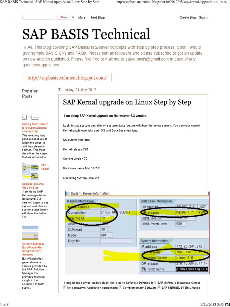 SAP BASIS Technical - SAP Kernal Upgrade On Linux Step by Step | PDF ...