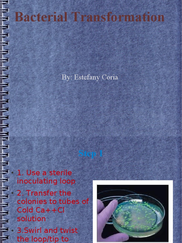 Bacterial Pdf Cooking Food Wine Home Garden