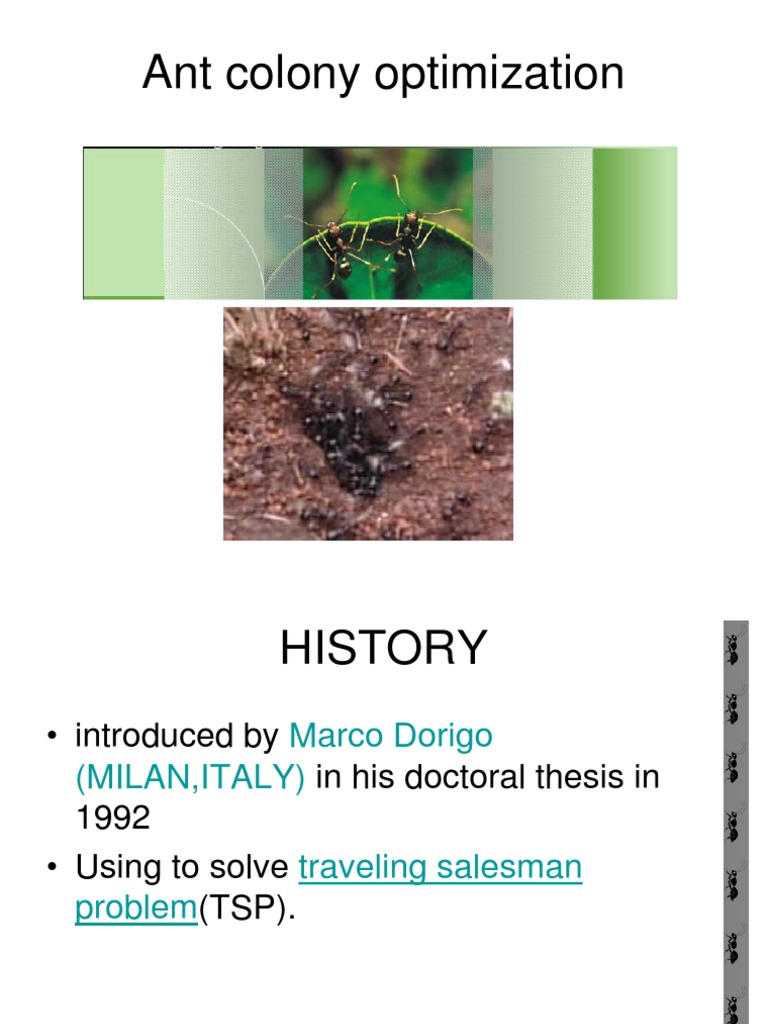 Ant Colony Optimization-1 | PDF | Computational Science | Computer Science
