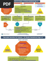 Fenton Growth Chart Calculations | PDF | Preterm Birth | Percentile