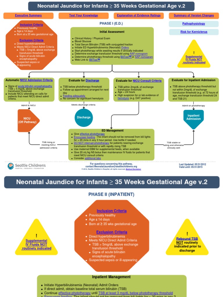 Neonatal Jaundice Pathway | Neonatal Intensive Care Unit | Infants