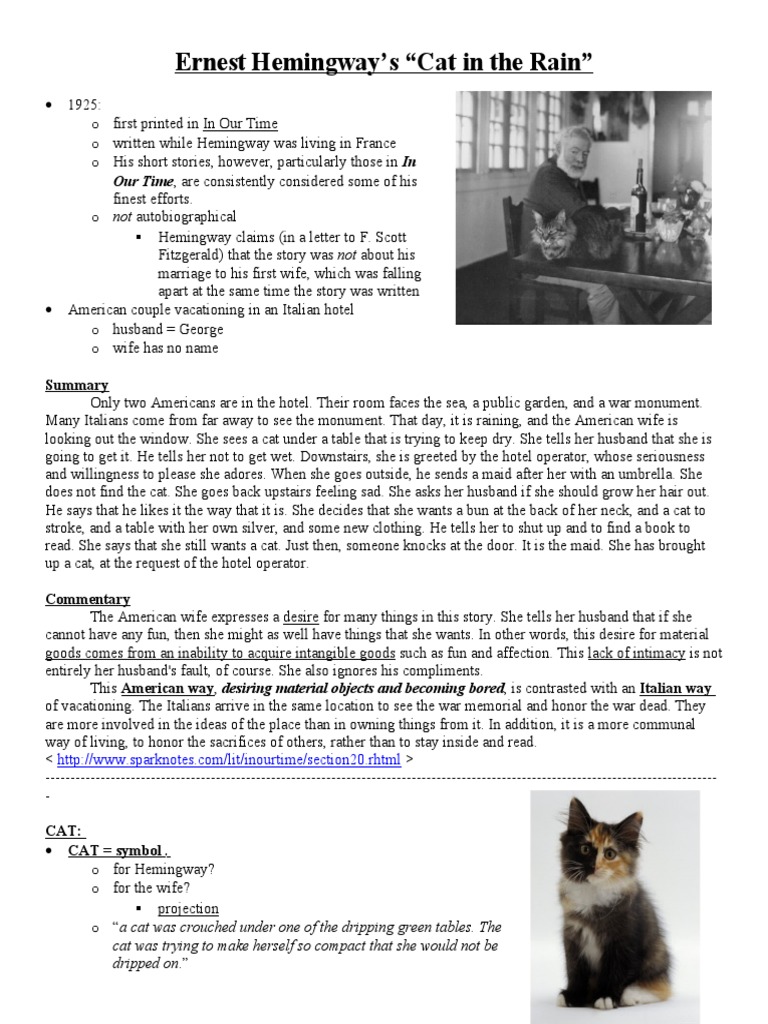 Cat in The Rain Ernest Hemingway Notes | PDF | Cat Types | Felis
