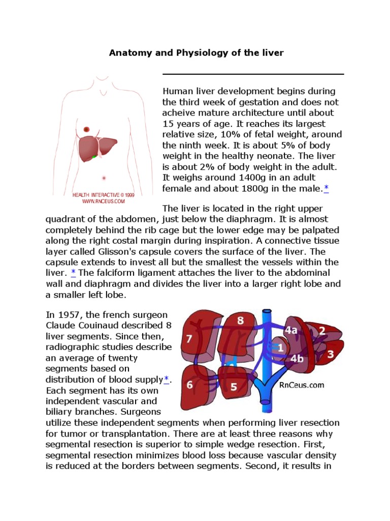 Anatomy and Physiology of the Liver | Lipoprotein | Liver