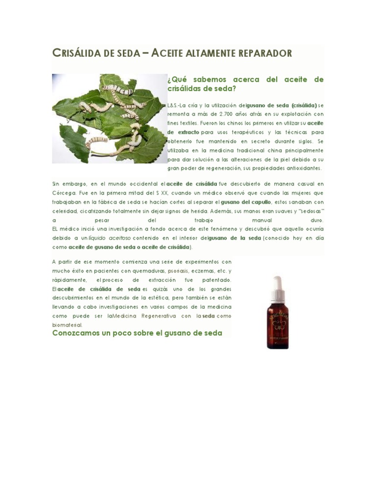 Crisálida de Seda | PDF | Seda | Lepidópteros