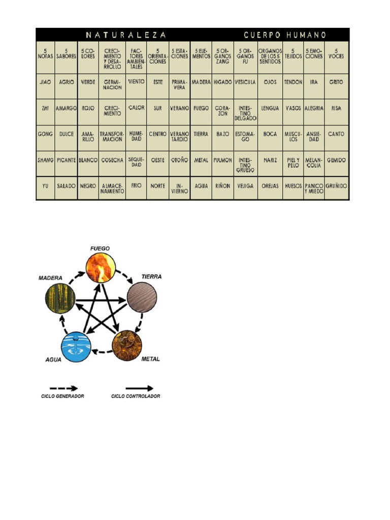 Los Cinco Elementos en Medicina China | PDF | Qi | Agua