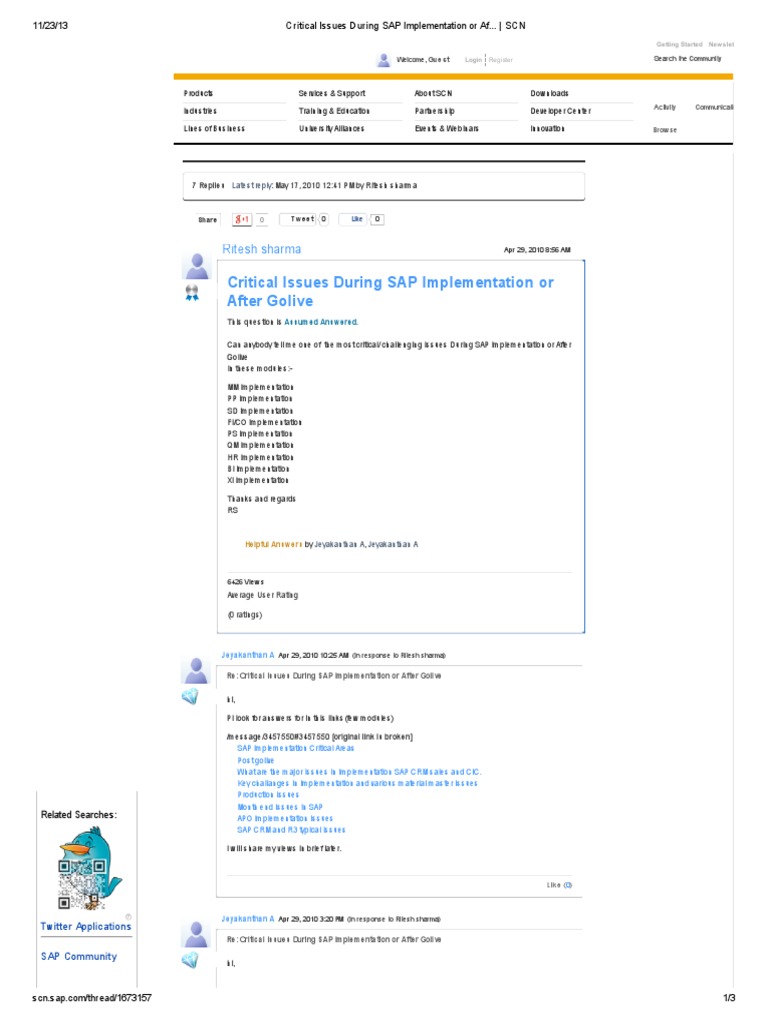 Critical Issues During SAP Implementation or Af.. | PDF | Twitter ...