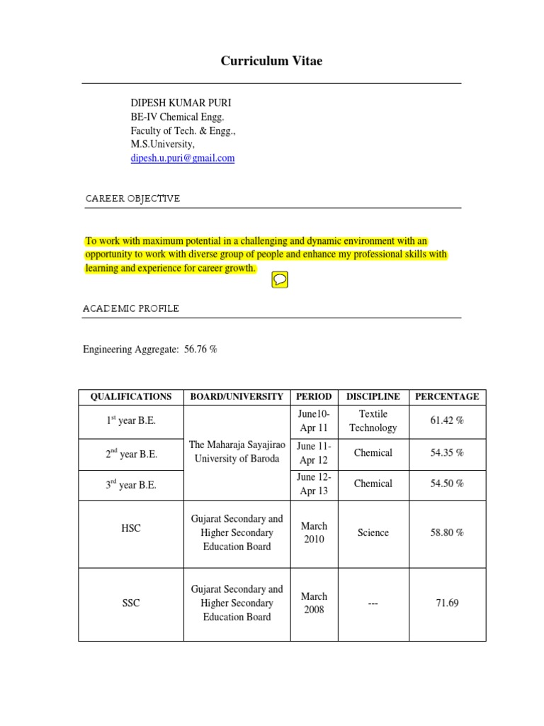 Curriculum Vitae of Dipesh Kumar Puri highlighting his academic qualifications, projects ...