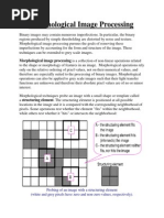 Morphological Processing | PDF | Image Segmentation | Pixel