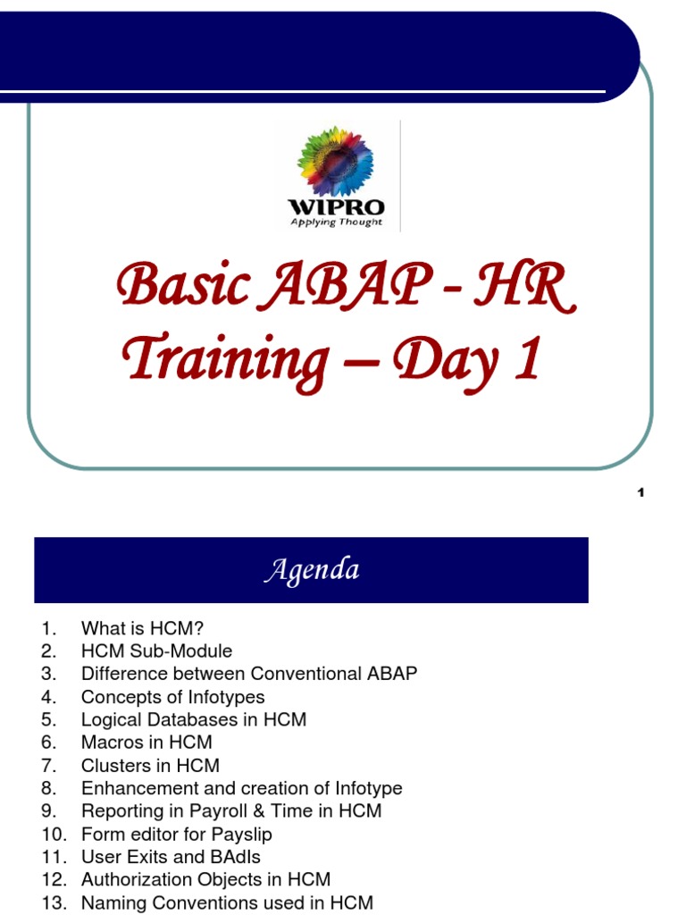 HR ABAP Basics and Infotype Concepts | PDF | Databases | Subroutine
