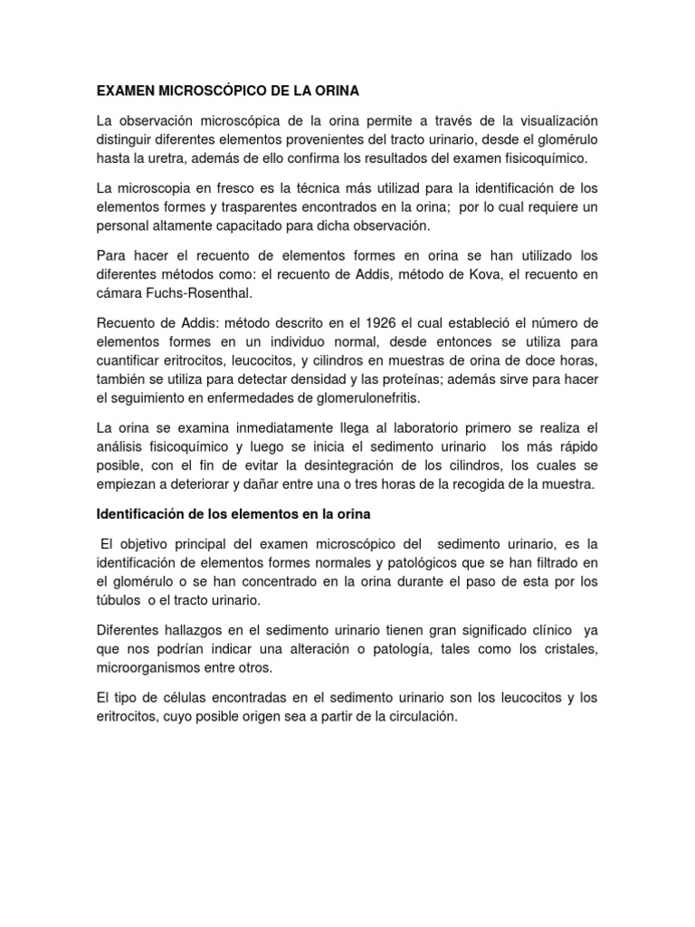 EXAMEN MICROSCÓPICO DE LA ORINA 1 | PDF | Sistema urinario | Riñón
