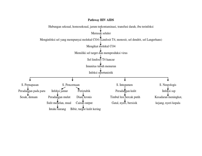 Pathway HIV AIDS Lanscape.docx