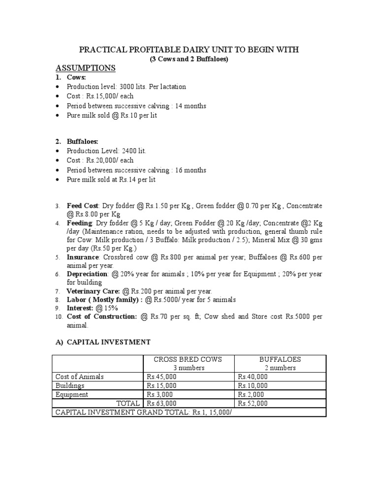 Project Report Sample PDF