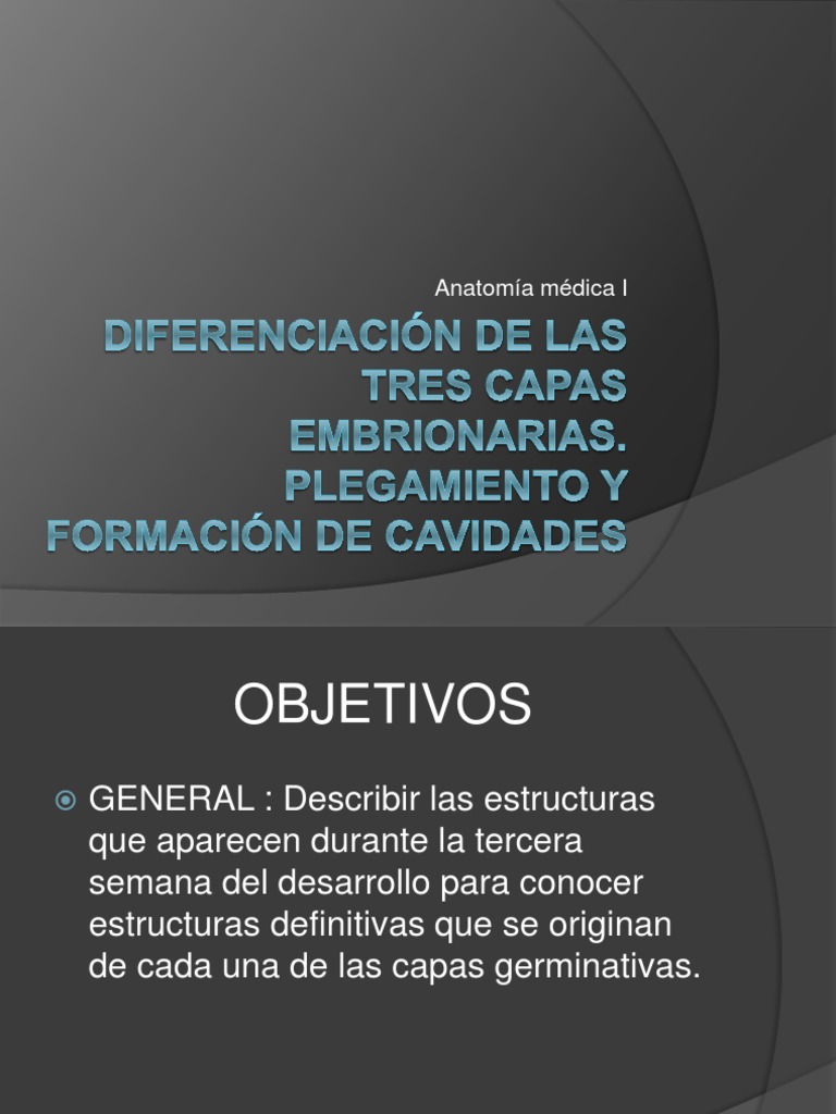 Las Tres Capas Embrionarias | PDF | Reproducción | Sistema nervioso