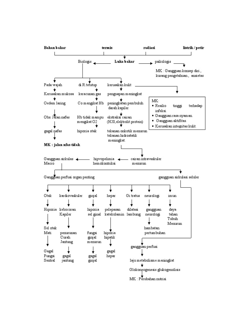 Patofisiologi Combustio | PDF | Sains & Matematika
