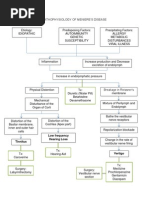 Totilac | PDF | Lactic Acid | Intravenous Therapy