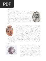 Anatomi Cavum Oris | PDF