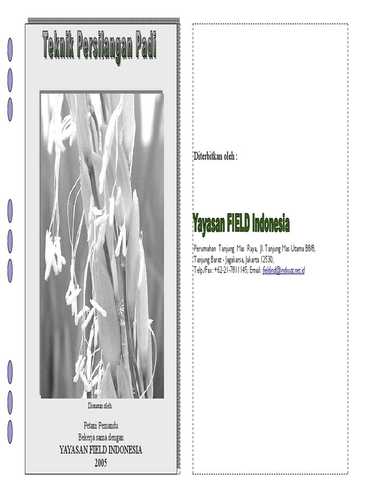 Komik Teknik Persilangan Padi | PDF