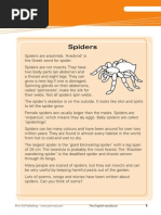 Pre Primary Science | PDF