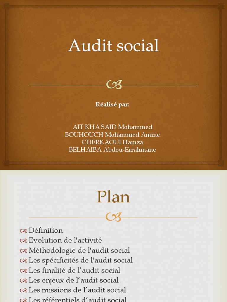 Audit Social | PDF | Audit | Business
