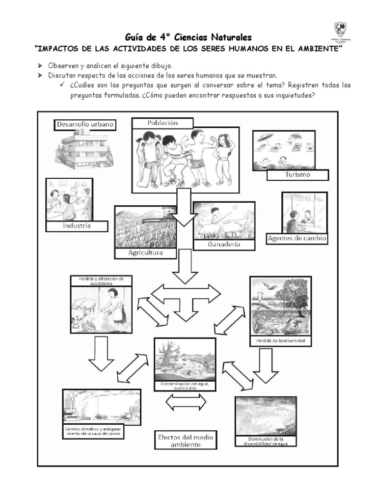 Guía de 4 Impacto S Humanos y Medio Ambiente | PDF