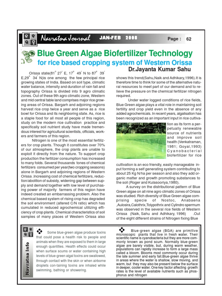 Blue Green Algae Bio Fertilizer Technology | Cyanobacteria | Agriculture