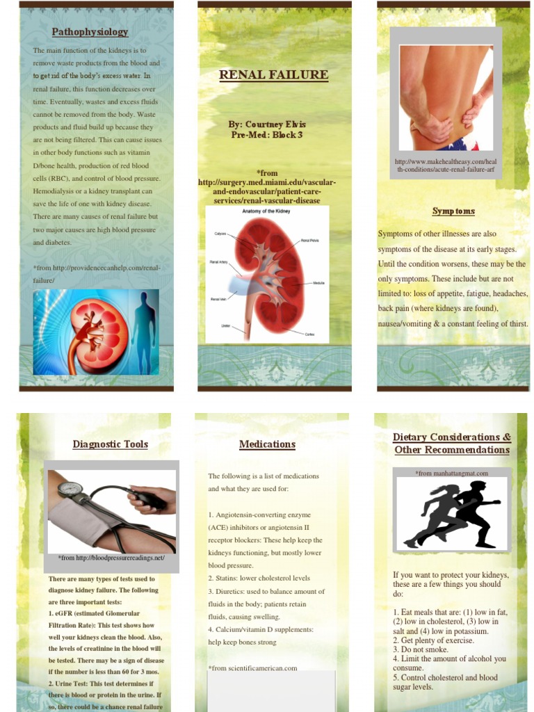 Renal Failure Pamphlet | PDF | Kidney | Renal Function