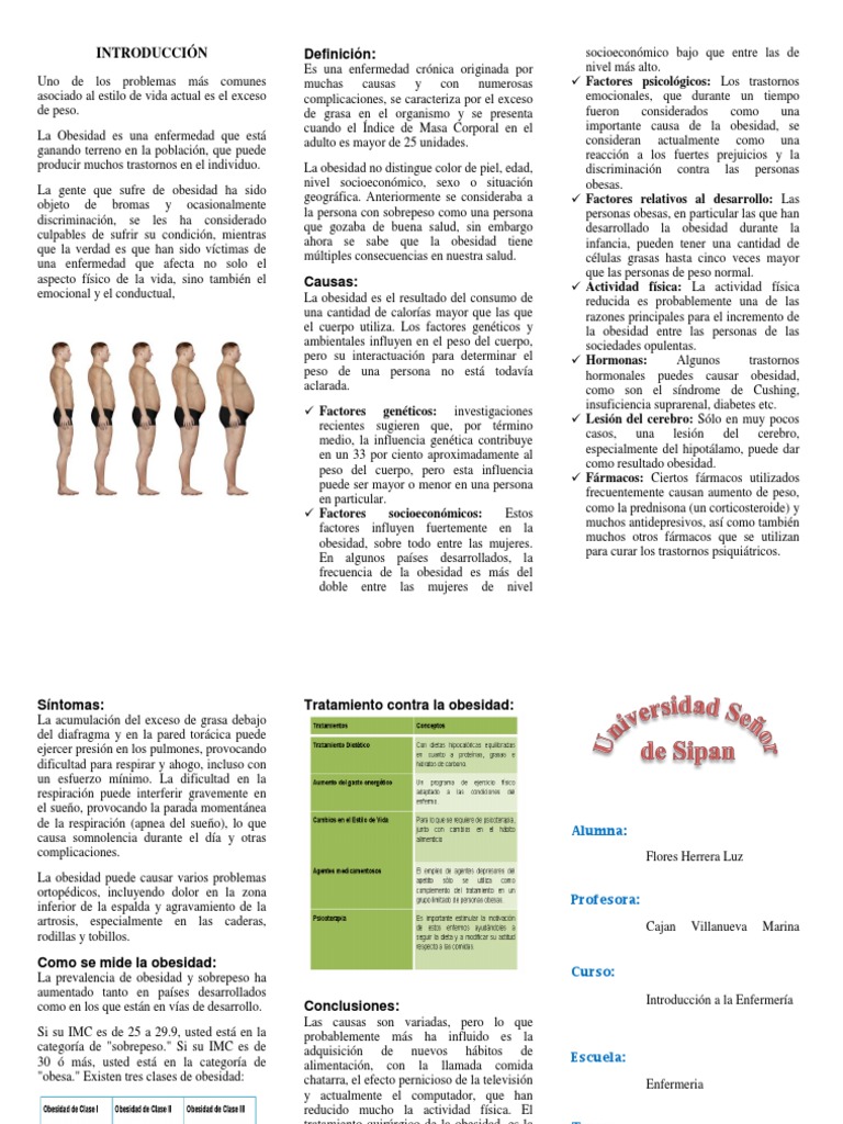 Triptico de La Obesidad