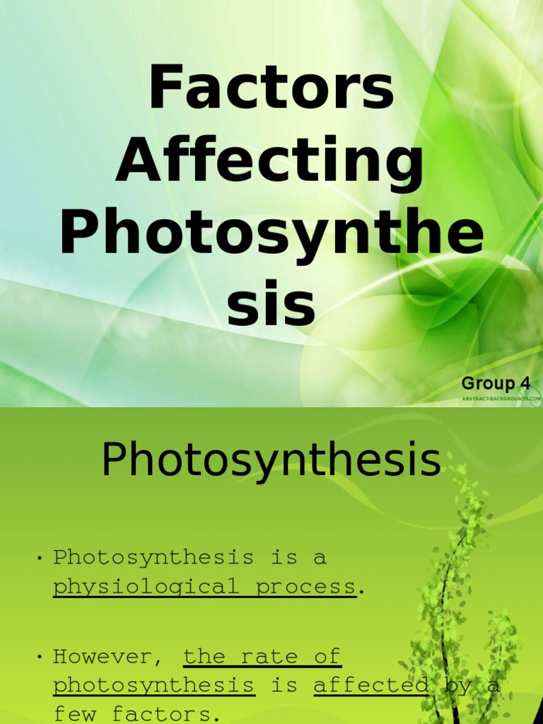 Factors Affecting Photosynthesis | PDF | Photosynthesis | Plant Physiology
