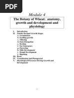 Understanding the Zadoks Growth Scale | PDF | Plant Morphology | Plant ...
