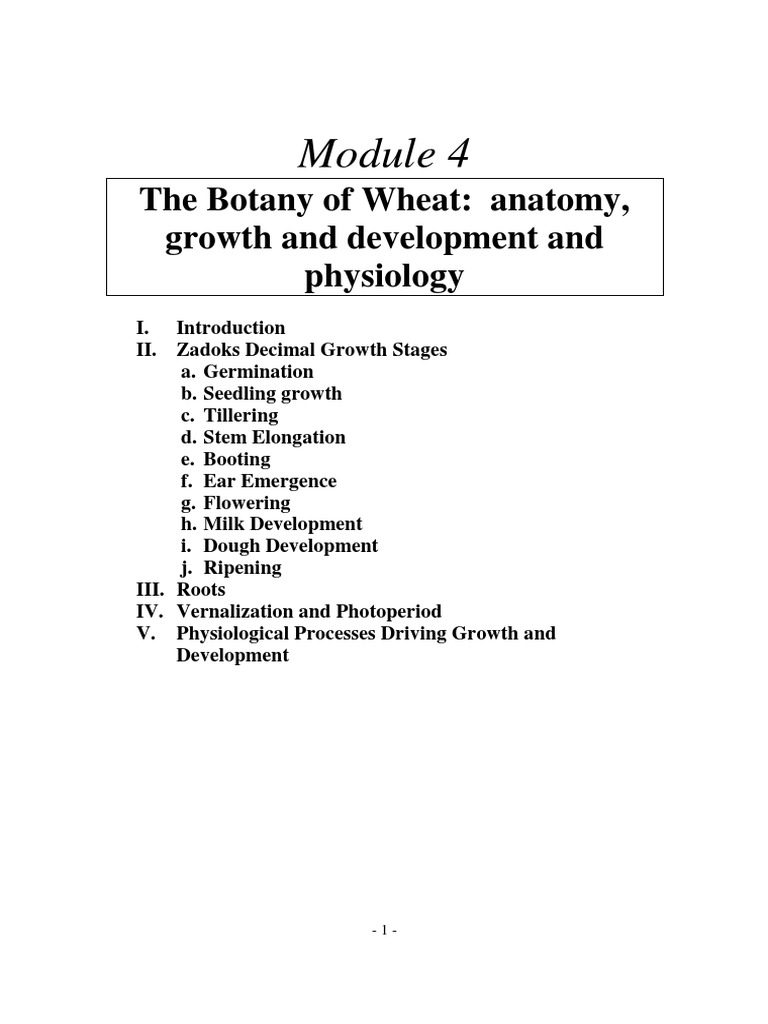 Module 4-The Botany of Wheat - Anatomy, Growth and Development and ...