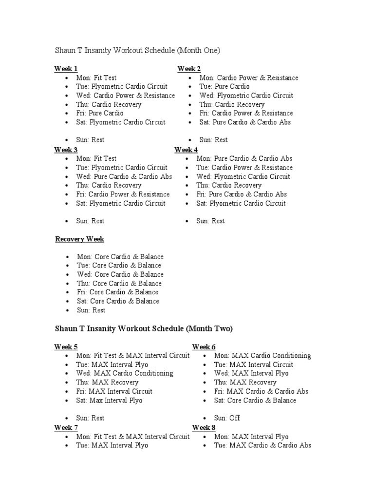 Shaun T Insanity Workout Schedule PDF Sports