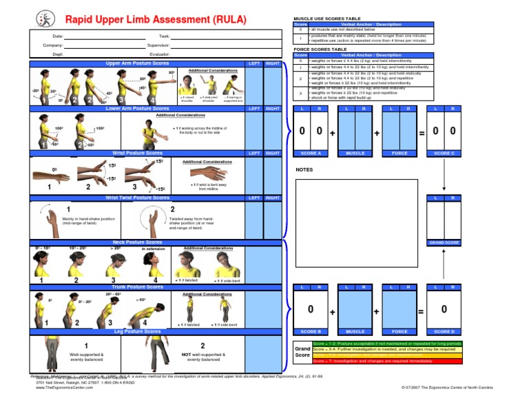 Rapid Upper Limb Assessment (RULA) : Upper Arm Posture Scores | PDF ...