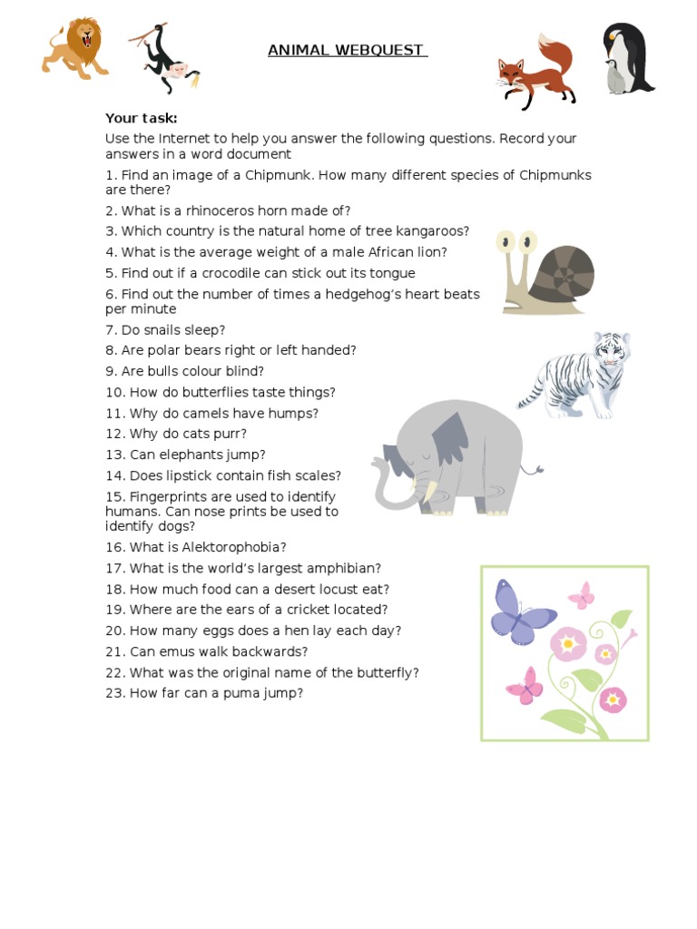 Animal Webquest | PDF